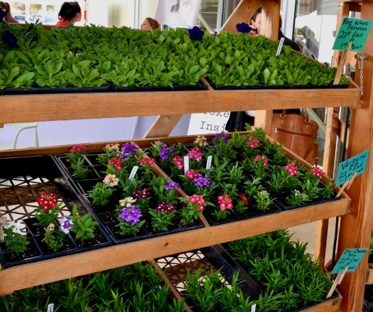 Norman Farm Market | The Well | Cleveland County